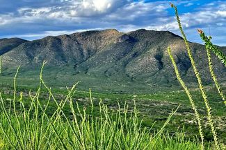 Arizona Land for Sale - 16,943 Listings | LandWatch