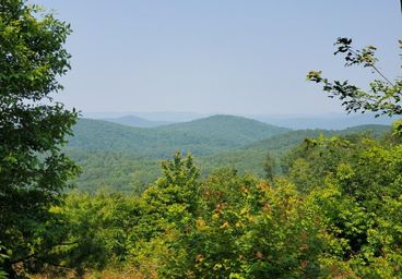 Land for Sale, Farms and Ranches for Sale | LandWatch