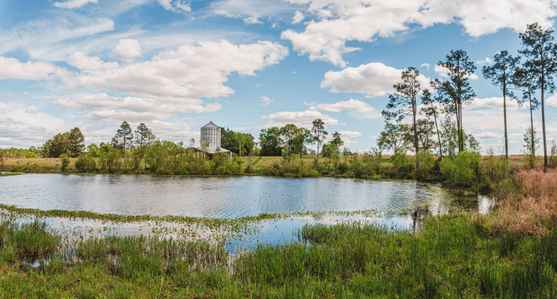 Land for Sale - 566,595 Listings | LandWatch