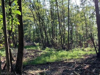 Land for sale in Bedford County, Pennsylvania