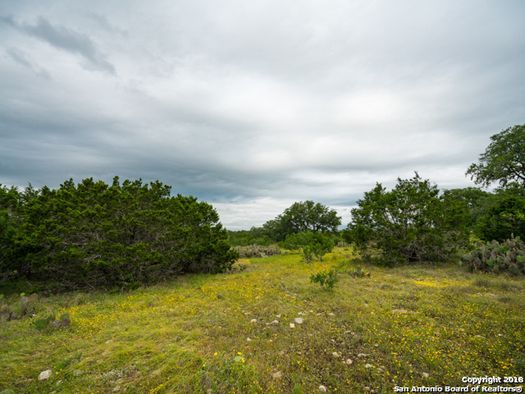 Spring Branch, Comal County, TX Undeveloped Land for sale Property ID ...