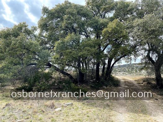 Rocksprings, Edwards County, TX Farms and Ranches, Recreational ...