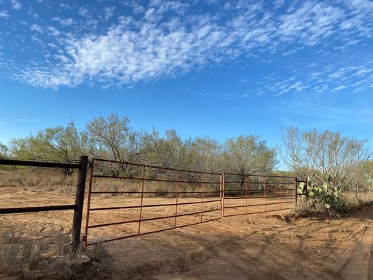 25 acres in Encinal, TX, 78019 | MLS: 20212931 | LandWatch