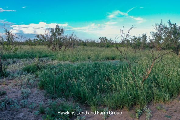 Midkiff, Upton County, TX Farms and Ranches, Recreational Property, Hunting Property for sale ...