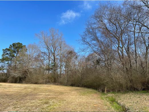 Polkville, Smith County, MS Recreational Property, Undeveloped Land for ...