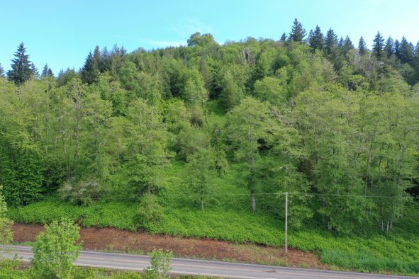 State Route 508, Cinebar, WA 98533 | LandWatch