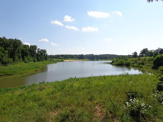 837 Heritage Ln, Puryear, TN 38251 | MLS: 128014 | LandWatch