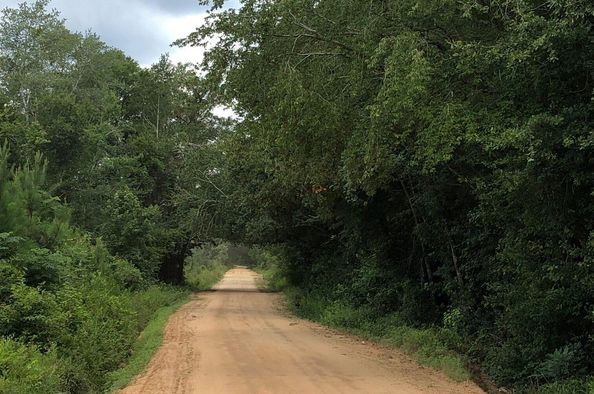 Dodge County, Georgia, Rhine, GA 31077 | LandWatch