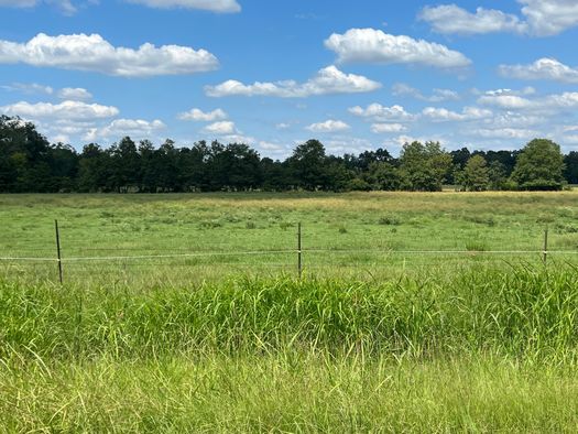 Crowville, Franklin Parish, LA Recreational Property, Undeveloped Land ...