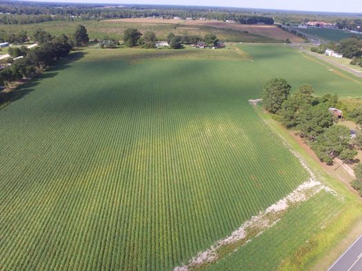 Deep Run, Lenoir County, NC Farms and Ranches, Undeveloped Land for ...