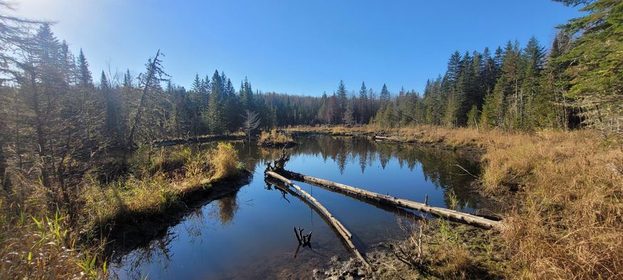 1077 Main St., Van Buren, ME 04785 | LandWatch