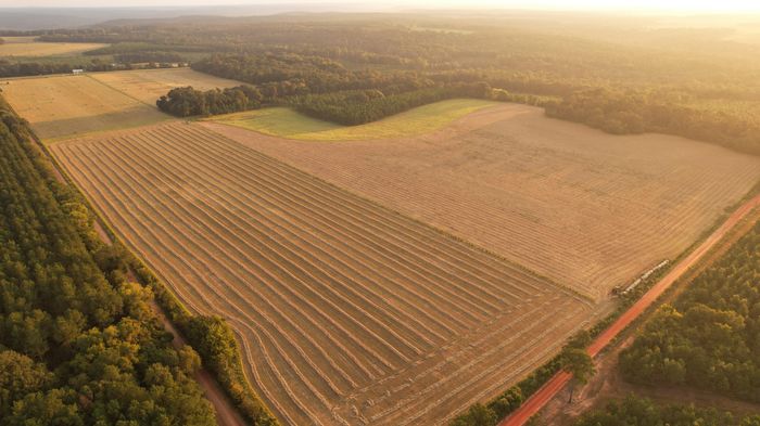 102 acres in Fort Gaines, GA, 39851 | LandWatch