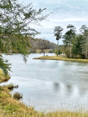 Griffin, Spalding County, GA Recreational Property, Lakefront Property ...