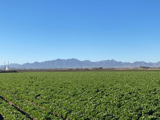 Wellton, Yuma County, AZ Farms and Ranches for sale Property ID ...