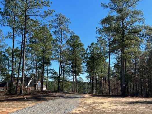 Mallard Cir, Mauk, GA 31058 | LandWatch