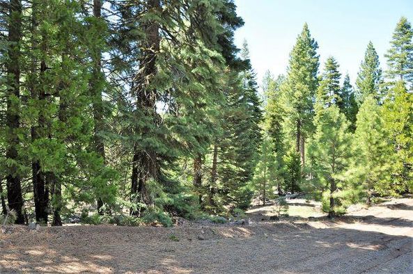 0.95 acres in California Pines, CA, 96101 | LandWatch