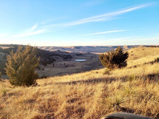 Highway 44, Iona, SD 57533 | LandWatch