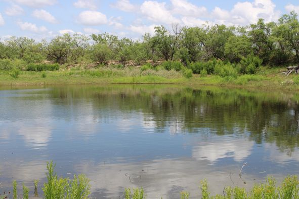 0 FM 503, Voss, TX 76888 | MLS: 113245 | LandWatch