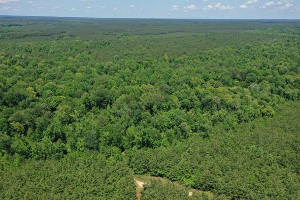 320 acres in Princeton, AR, 71725 | MLS: 5035 - Martin | LandWatch