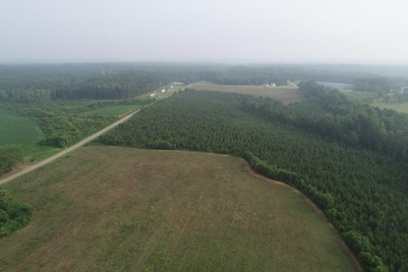 156.6 acres in Daddysville, NC, 27597 | MLS: 2520682 | LandWatch