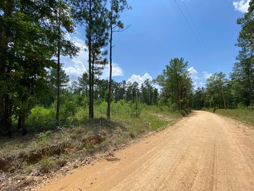 Tibbie, Washington County, AL Recreational Property, Timberland ...