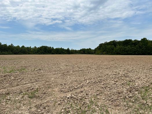 Back Road, Crowder, MS 38622 | LandWatch