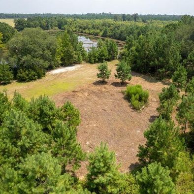 Lakeland, Lanier County, GA for sale Property ID: 417642308 | LandWatch