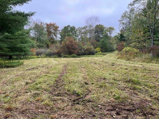 State Route 417 E, Bolivar, NY 14715 | LandWatch