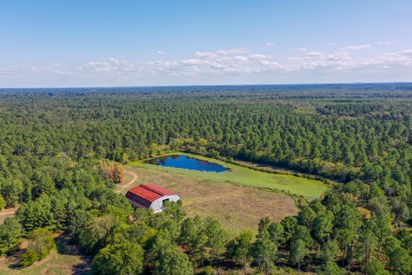 US Hwy 80, Big Sandy, TX 75755 | MLS: 603 Acres Of Hunting Paradise In ...