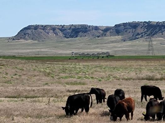 941 acres in Lingle, WY, 82223 | MLS: 20235674 | LandWatch