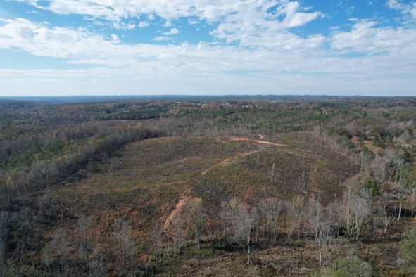 County Line Road, Wadley, AL 36276 | LandWatch