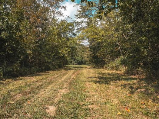 Paddy Chapel Road, Roby, MO 65557 | LandWatch