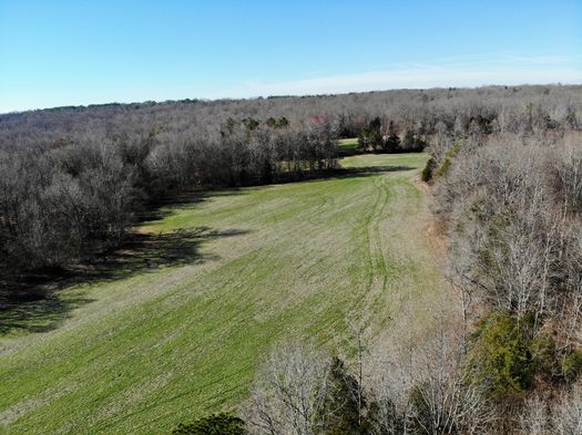 254 Hailey Rd, Mercer, TN 38392 | LandWatch