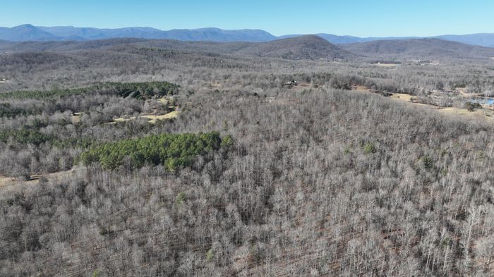 44.83 acres in Castleton, VA, 22716 | LandWatch