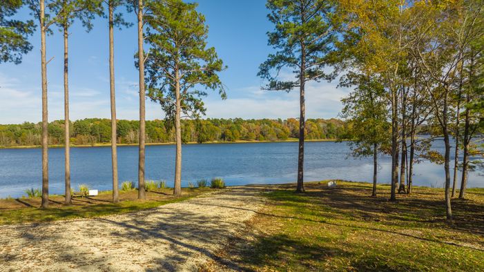 1873 County Road 779, Douglass, TX 75943 | LandWatch