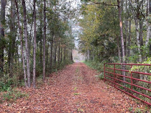 0 Shellman Bluff Rd, Lot#WP001, Townsend, GA 31331 | LandWatch