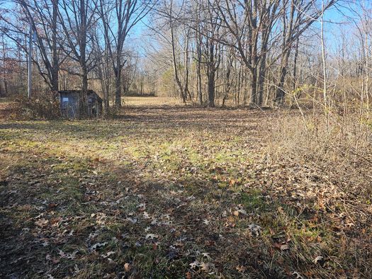 Palmersville, Weakley County, TN Farms and Ranches, Recreational ...