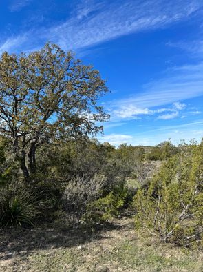 Sonora, Sutton County, TX Farms and Ranches, Recreational Property ...