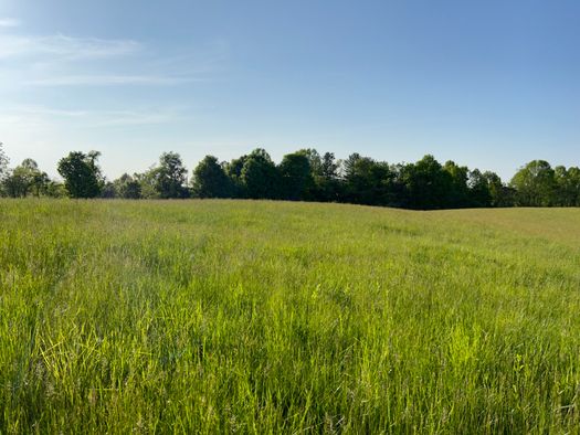 State Route 555, LotWP#003, Chesterhill, OH 43728 | LandWatch