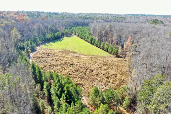 128 acres in Fort Valley, GA, 31030 | LandWatch