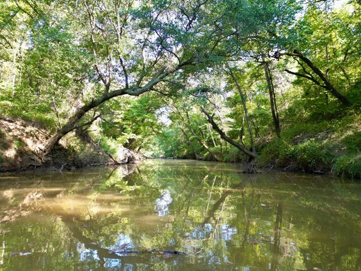 65 acres in Daisy, OK, 74540 | MLS: 11219337 | LandWatch