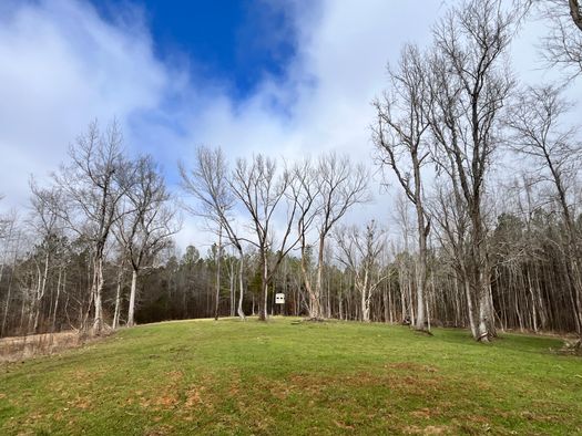 County Road 169, Maben, MS 39750 | LandWatch