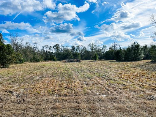 Perry, Taylor County, FL for sale Property ID: 418923988 | LandWatch