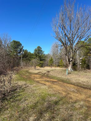 43 acres in Cruger, MS, 38924 | LandWatch