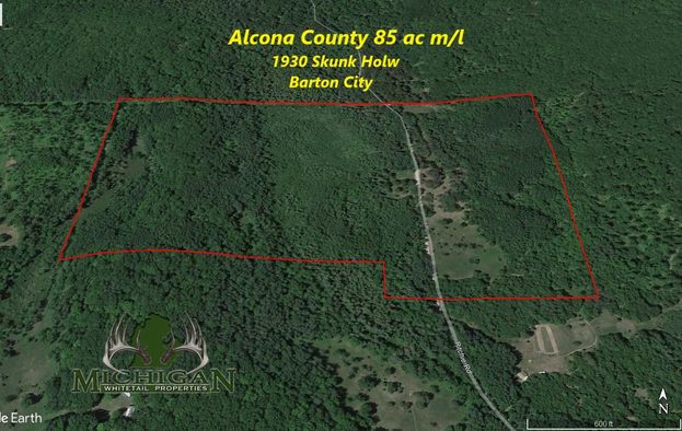 Barton City, Alcona County, MI Recreational Property, Hunting Property ...