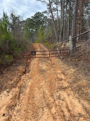 30 acres in Mathiston, MS, 39752 | LandWatch