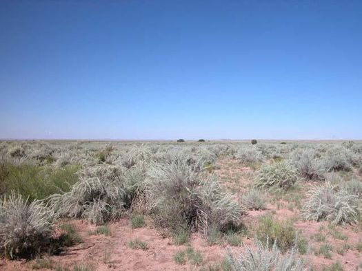 Sun Valley, AZ, Sun Valley, AZ 86029 | LandWatch