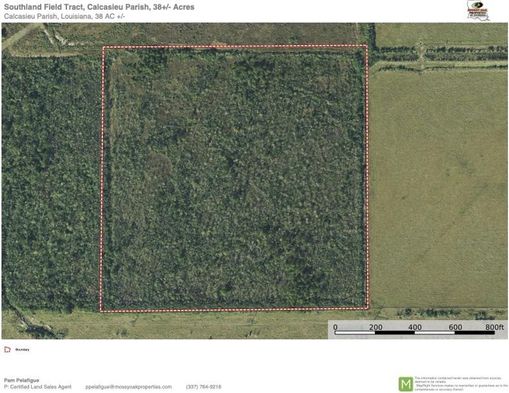 Sulphur, Calcasieu Parish, LA Recreational Property, Timberland ...