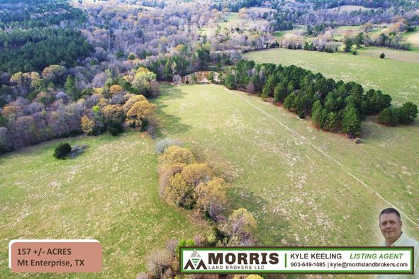 TBD U.S. 259, Mount Enterprise, TX 75681 | MLS: 24003628 | LandWatch