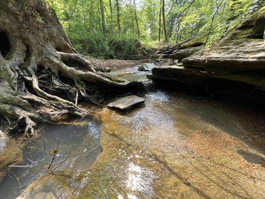 Lyles, Hickman County, TN Recreational Property, Undeveloped Land ...